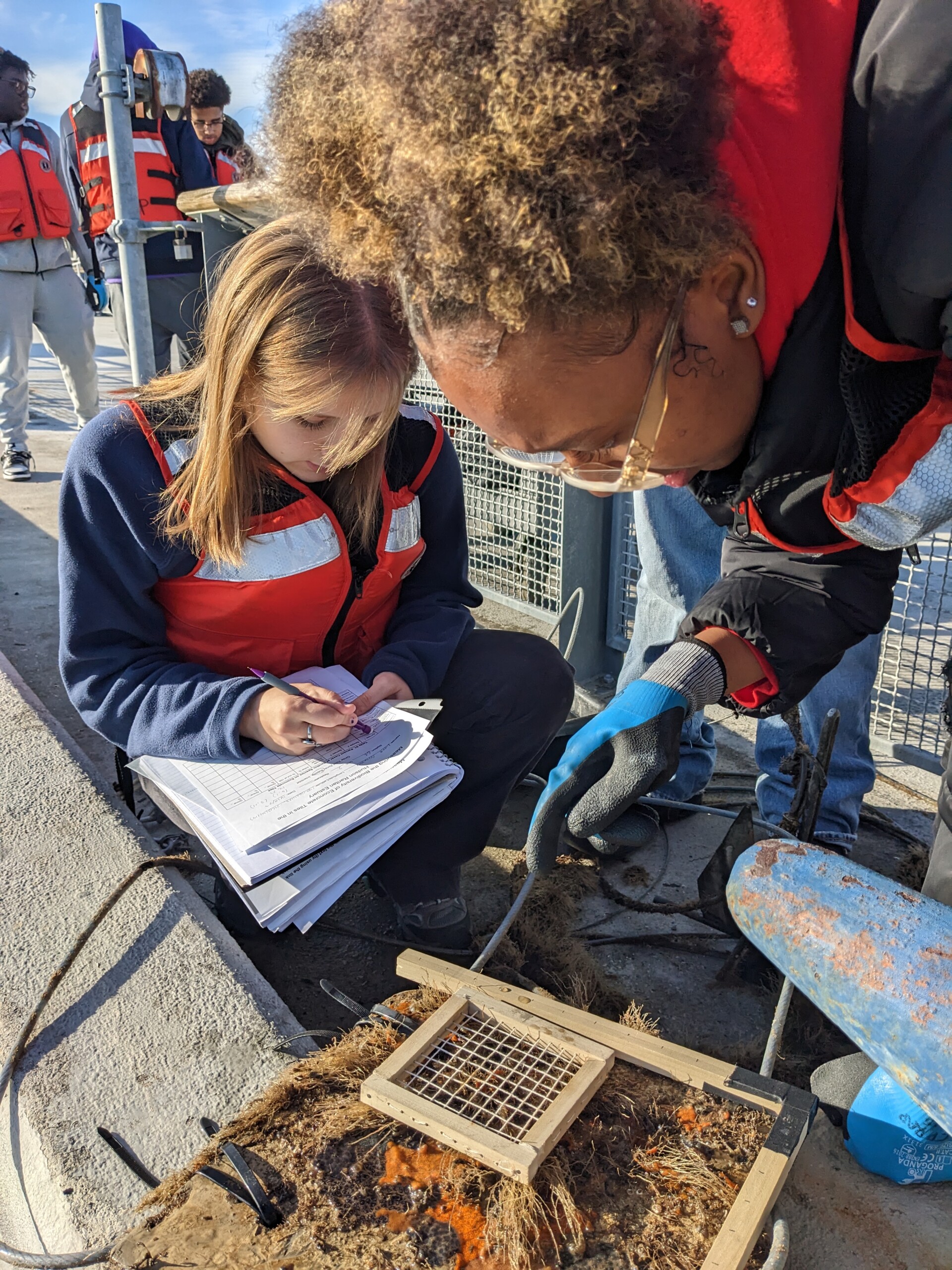 Biodiversity Data Entry Form | New York Harbor SEALs